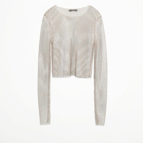 Zara | Tops | Zara Shimmer Mesh Crop Top | Poshmark